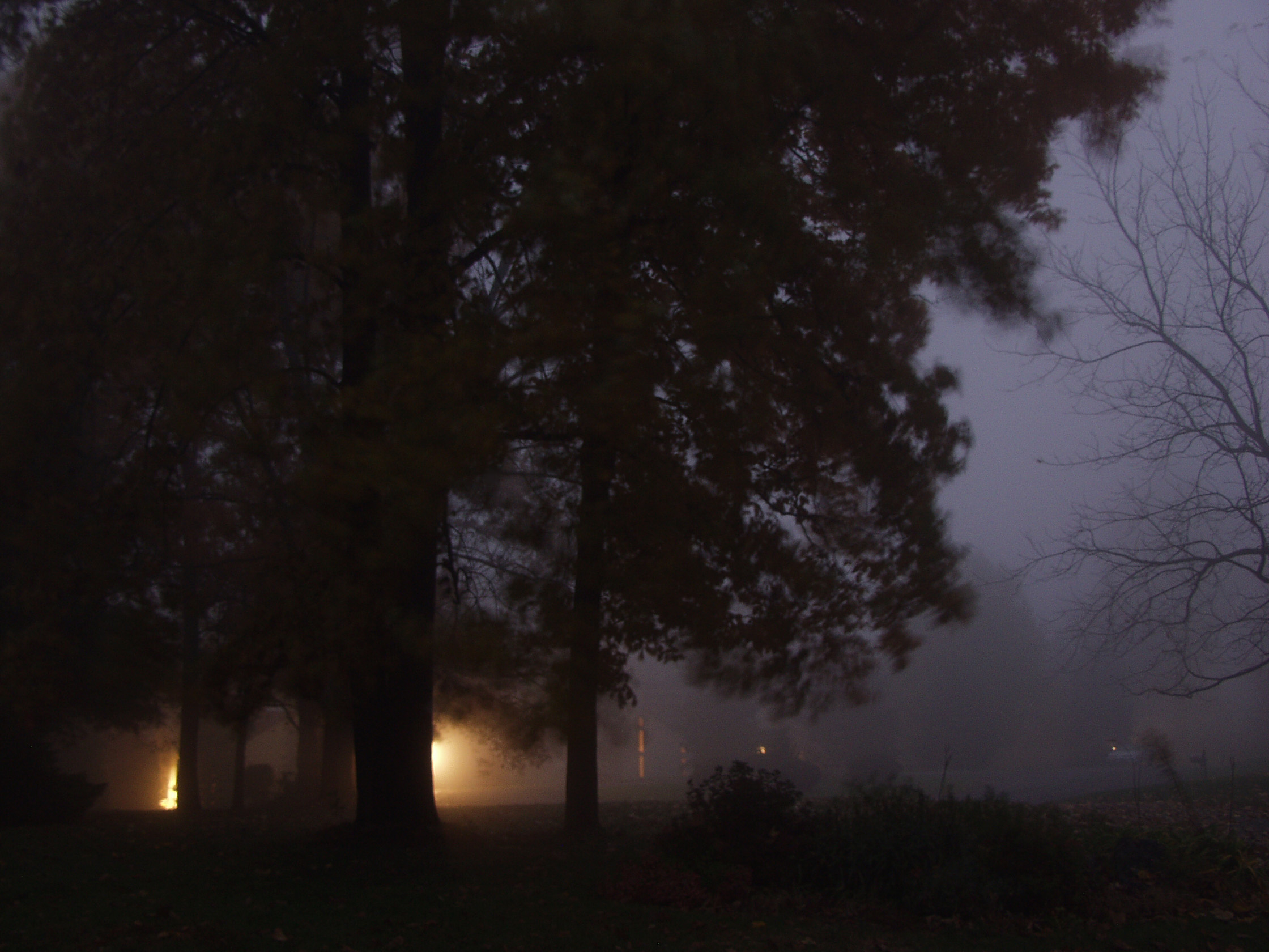 From the archives – Glaucoma by Neil Flatman – Autumn Sky Poetry DAILY