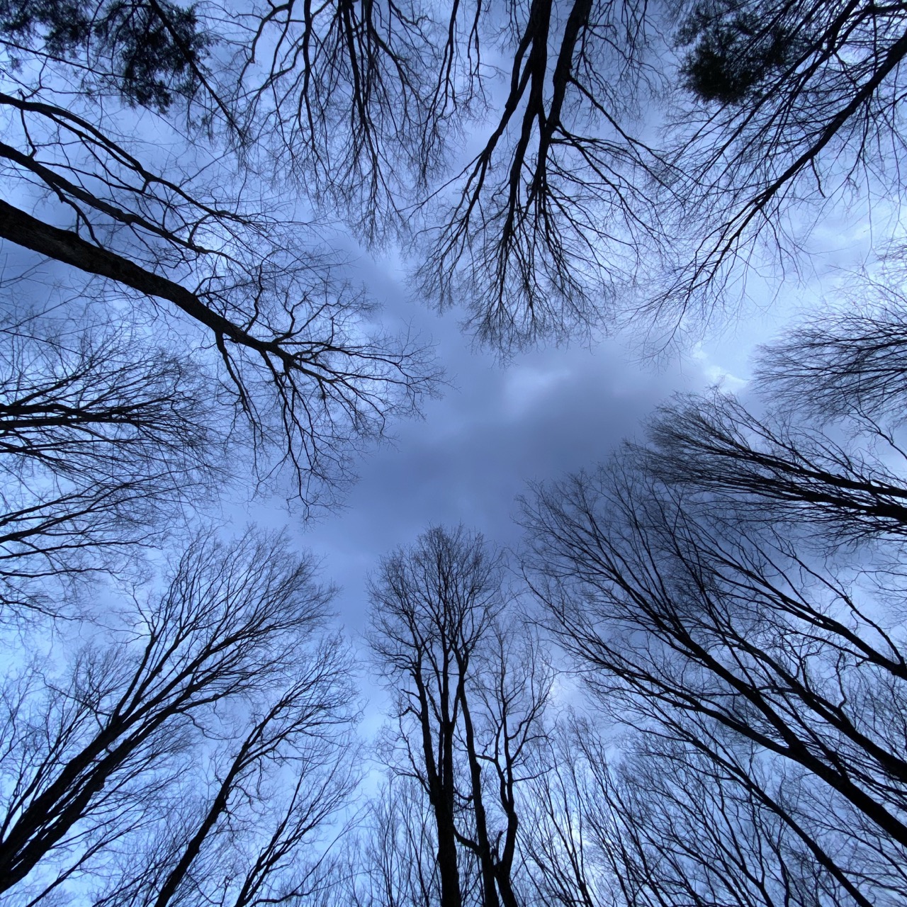 From the archives — There Are Those Who — Elisha Porat – Autumn Sky ...