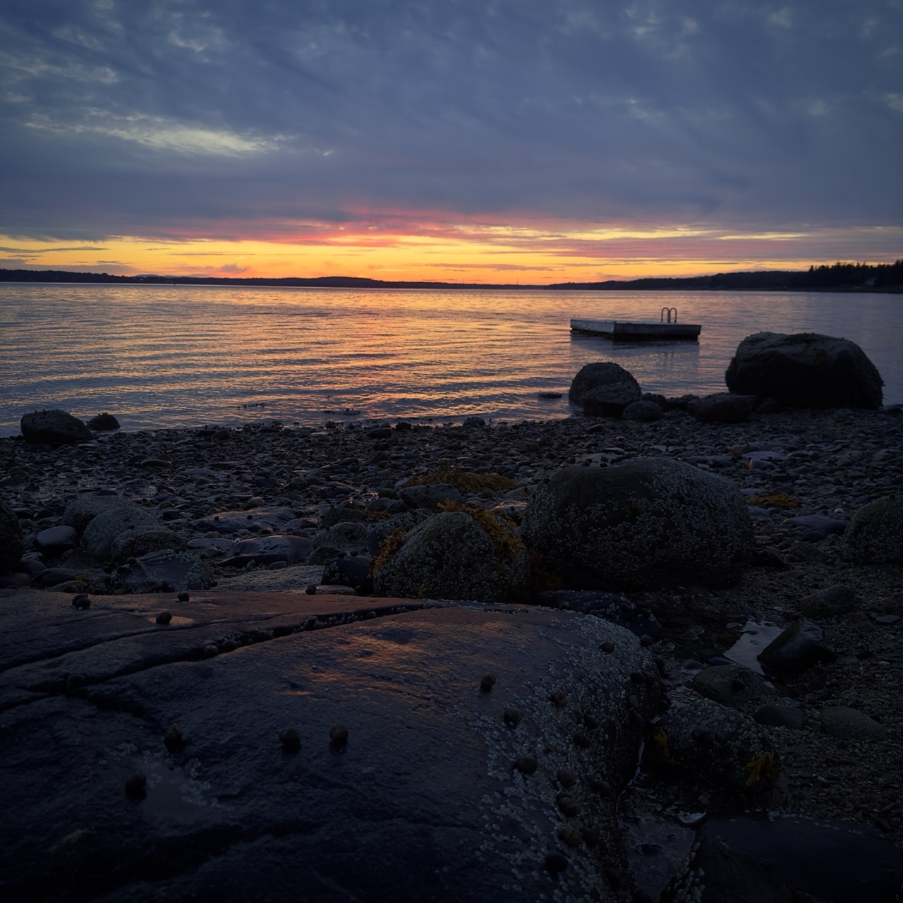 From the archives — Self-Portrait in the Future, A Letter for the New ...