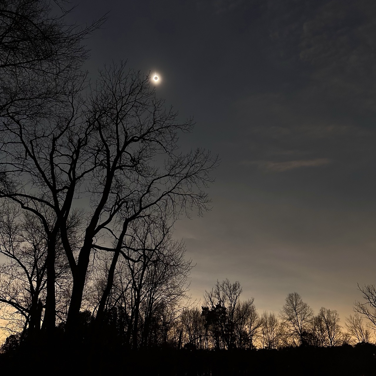 From the archives — Your Abstract Body by Martin J. Elster – Autumn Sky ...